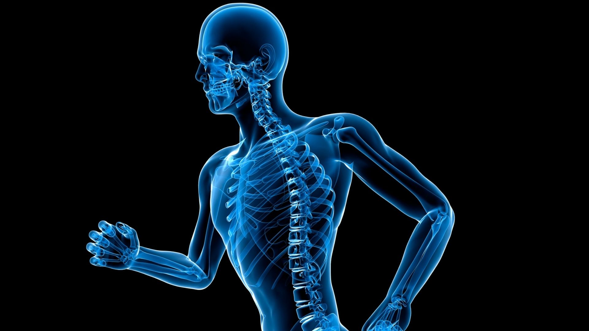 One Day Essentials REWIND Musculoskeletal Health 2023