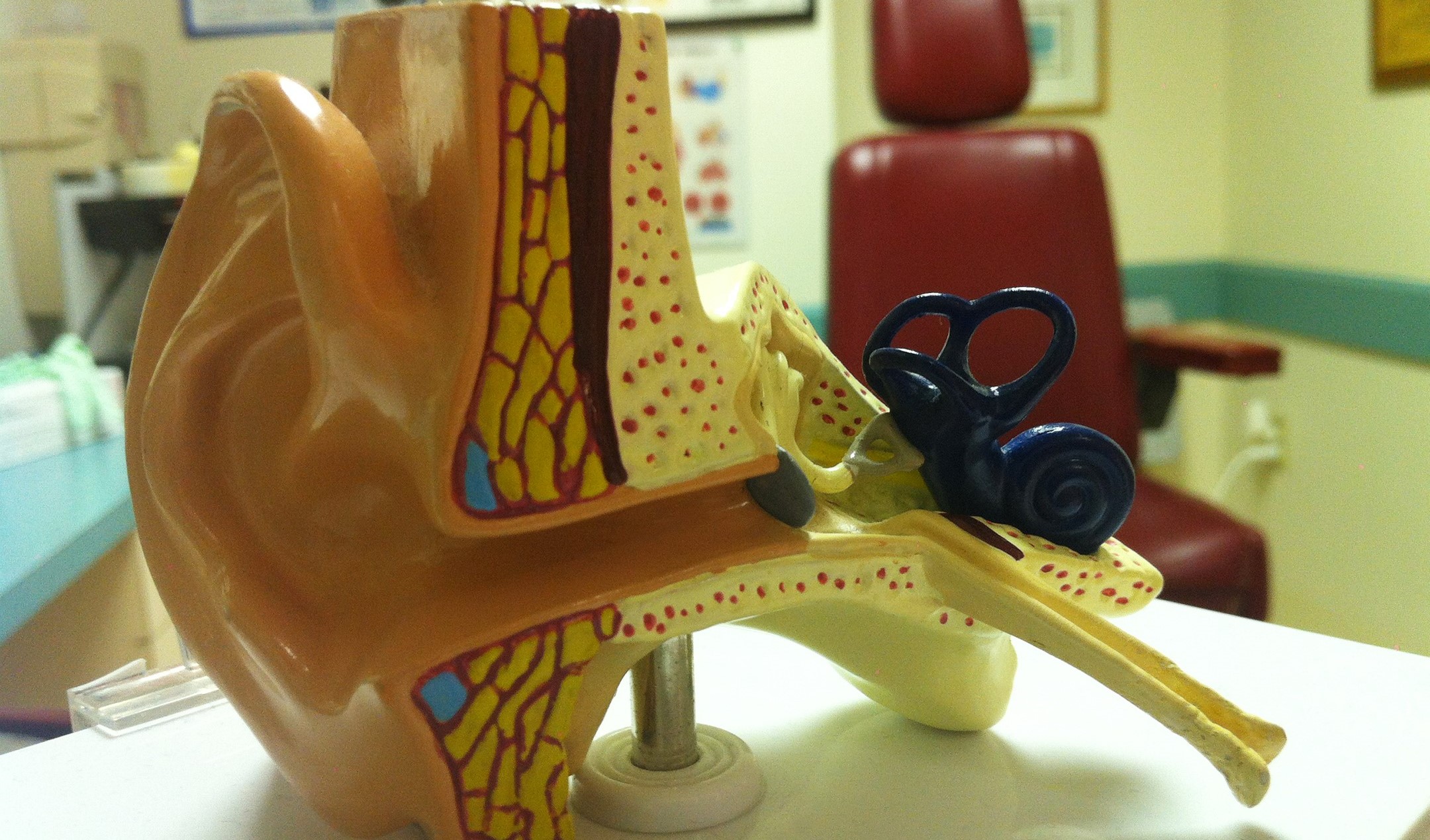 ENT Update: Hearing loss in adult | EWS | REWIND